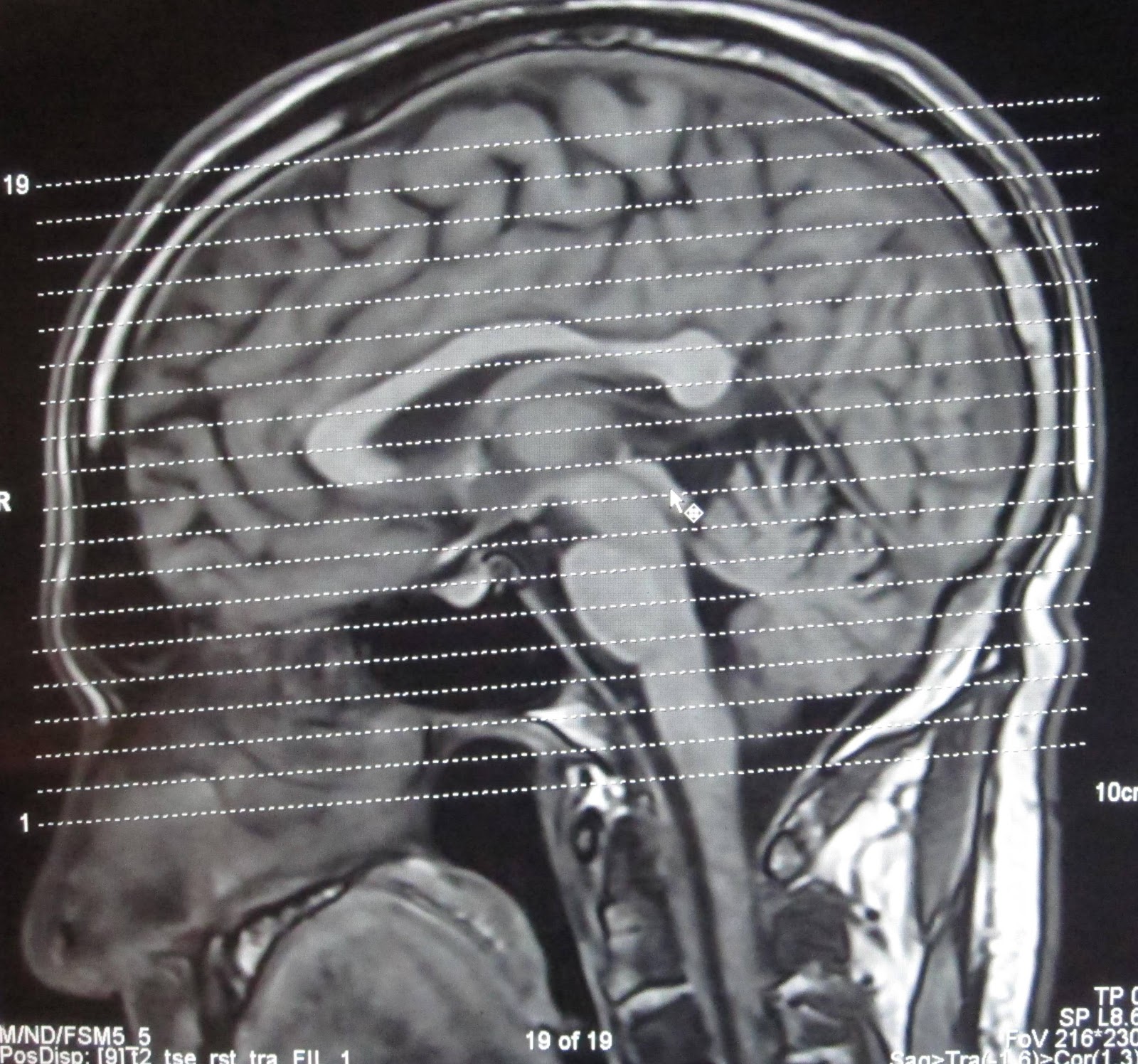 Medical Imaging Technology