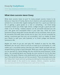 essay examples: What Is Success Essay