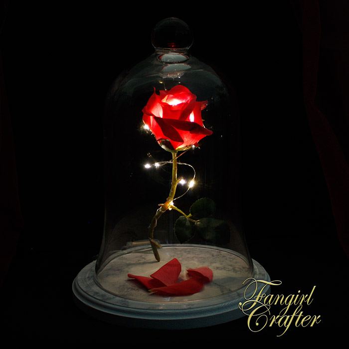 Diy Beauty And The Beast Enchanted Rose at Wayne Tisdale blog