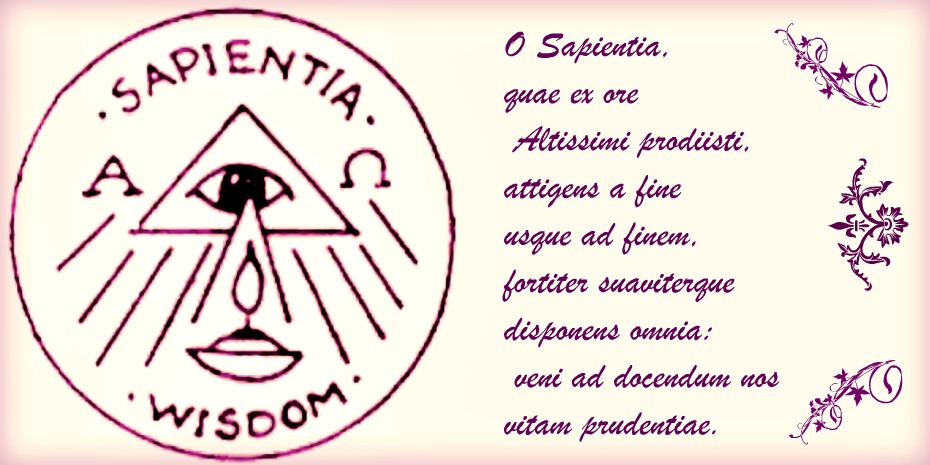 Sunlight and Shadow: December 2011