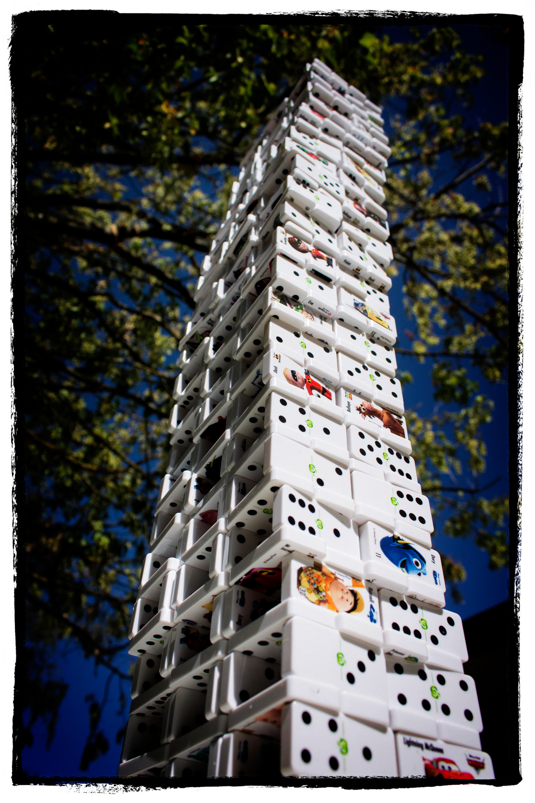 wandering in the light: PhotoFriday :: Reaching New Heights