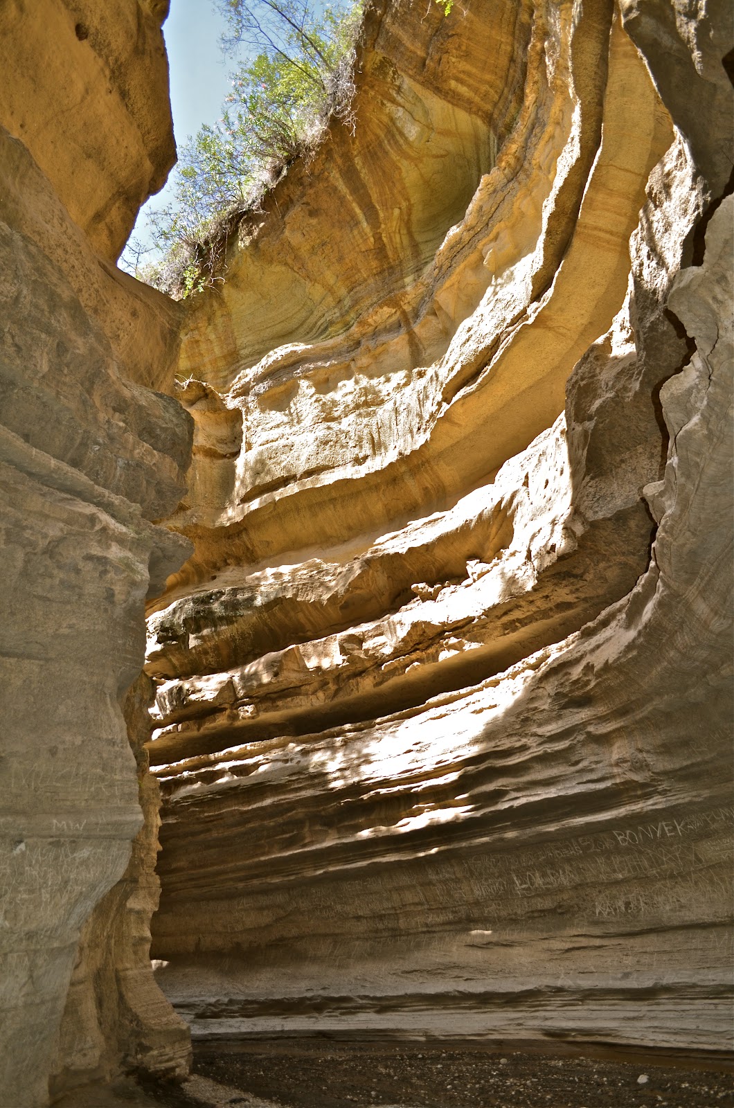 Directed Steps: February 2012