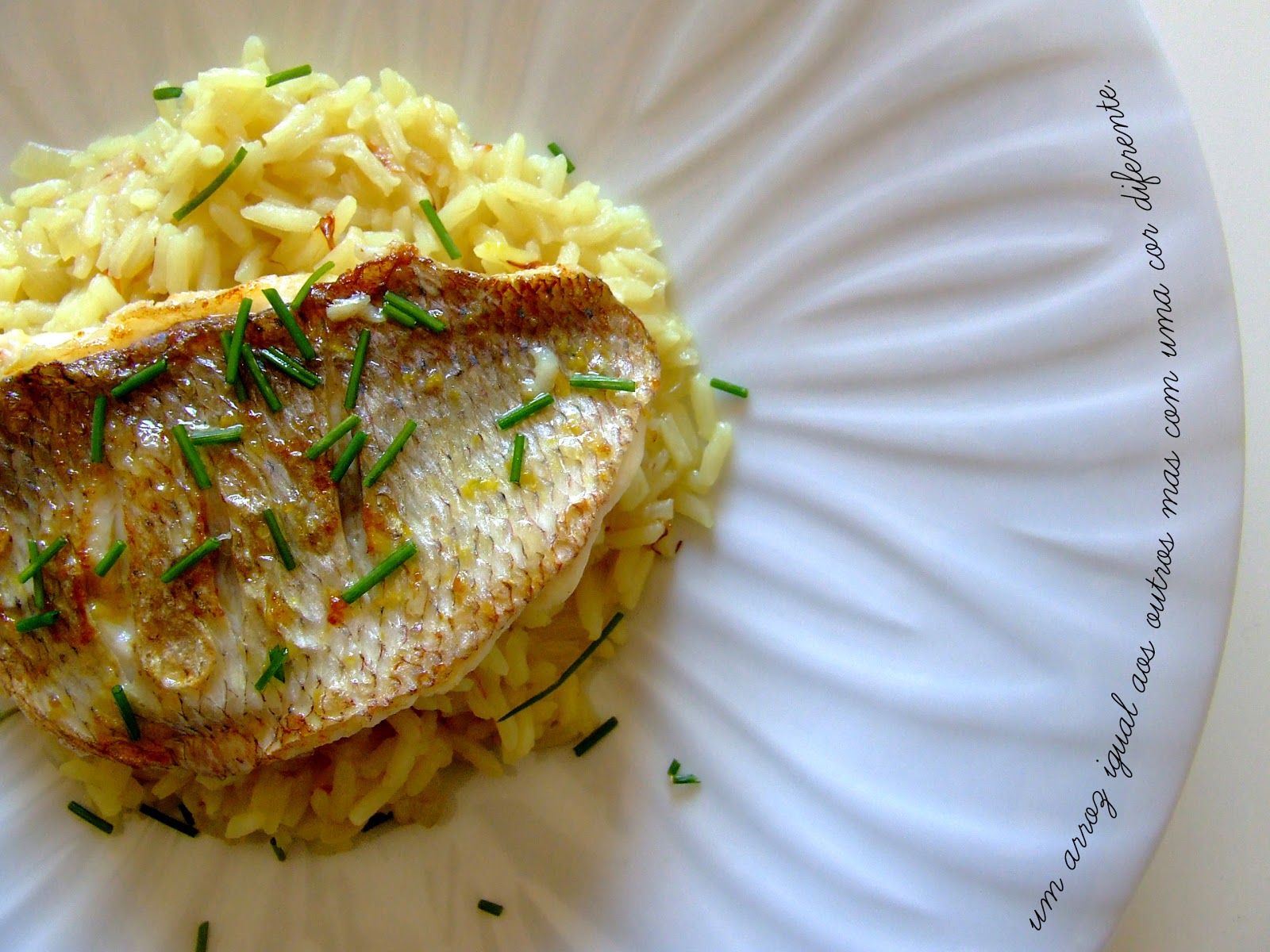 Marmita: Filetes de pargo com arroz de açafrão