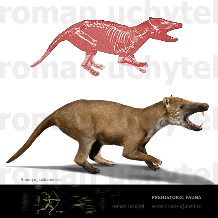 Escenarios prehistóricos: Sinonyx