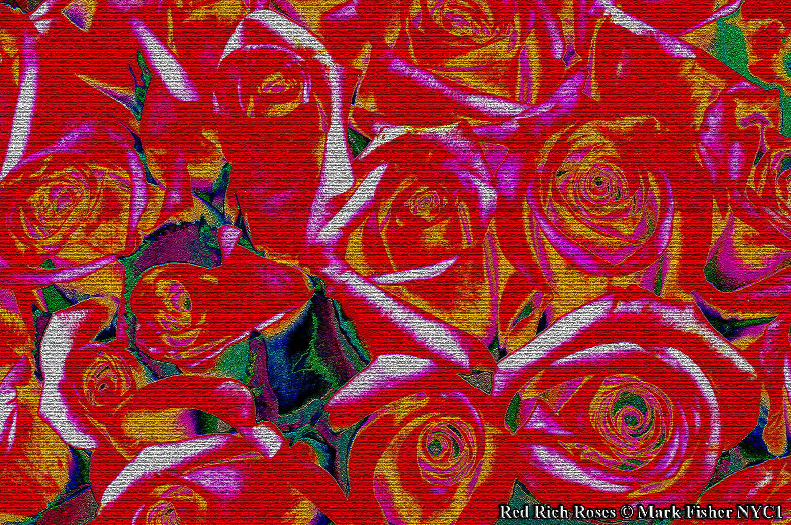 Mark-Fisher-Photo-Images: Red Rich Roses • Mark Fisher Photo-Images • A ...