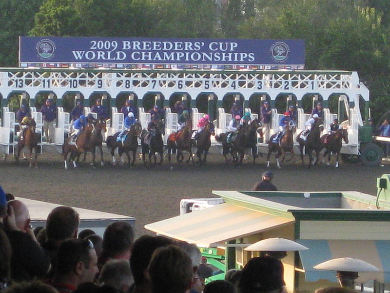 This Rotten Sport Of Horse Racing THE ROOT CAUSE OF THIS CHAMPIONS DAY this-rotten-sport-of-horse-racing-the-root-cause-of-this-champions-day