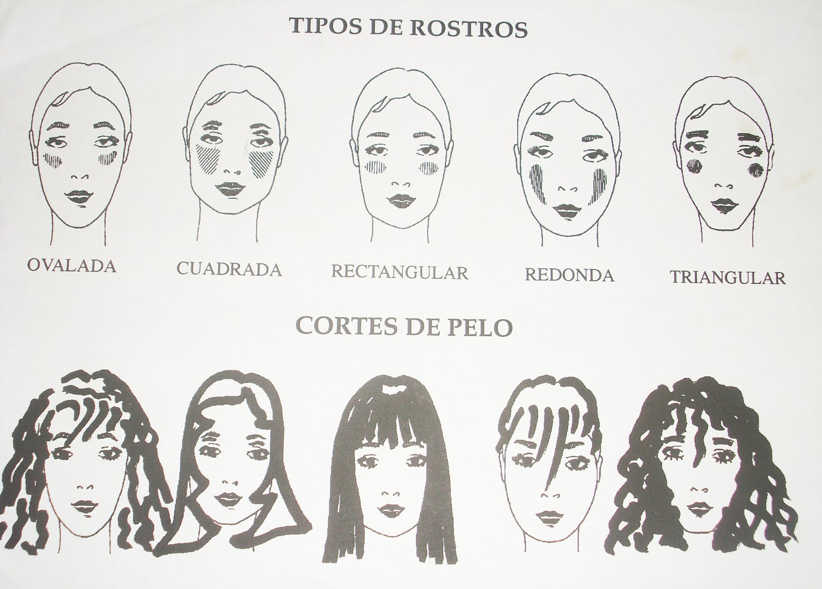 @onenac: Tipos de rostro