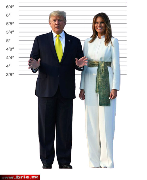Donald Trump Height ~ How Tall is He Really? - Brie
