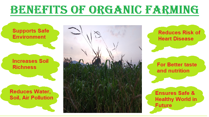 Introduction Of Organic Farming - What is Organic Farming - Why Organic