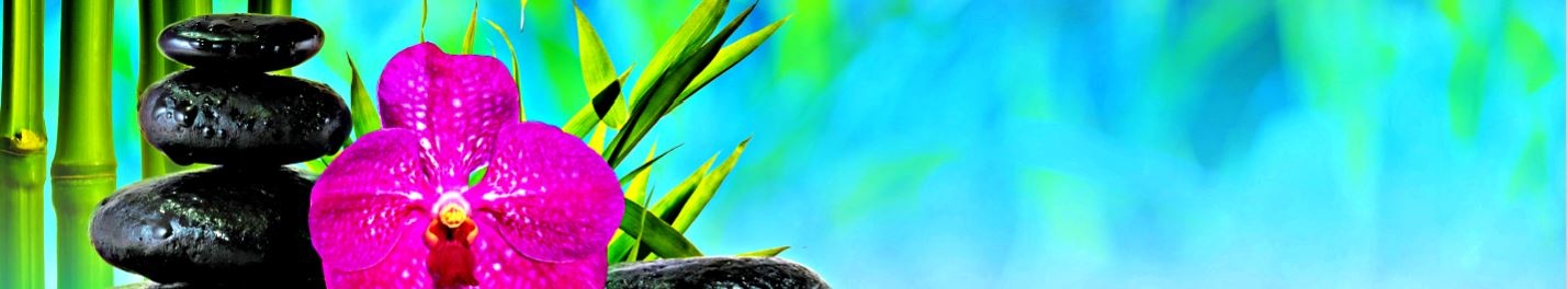 THE CONCEPT OF ZEN AND HOW IT BEGAN