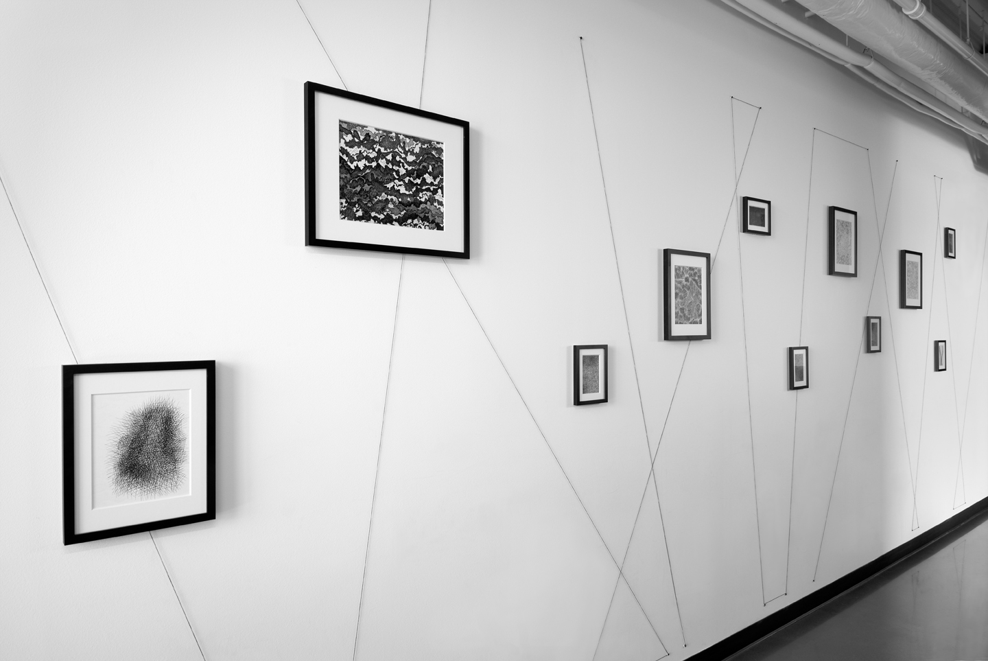 Layers of lines, the Artwork of Lucas Gray