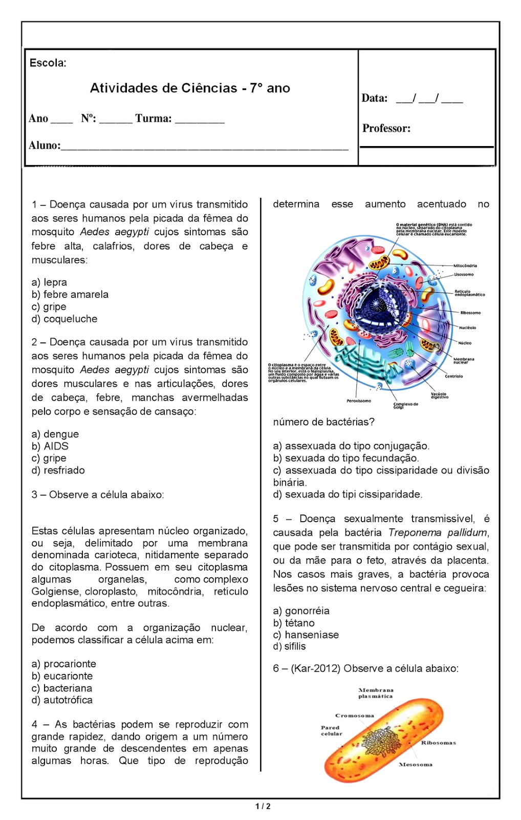 Atividades da tia: 110 ATIVIDADES DE CIÊNCIAS 7° ANO EXERCÍCIOS ...