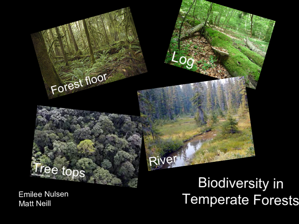 Biodiversity: Explain everything 7th hour: Ecosystem diversity in the ...