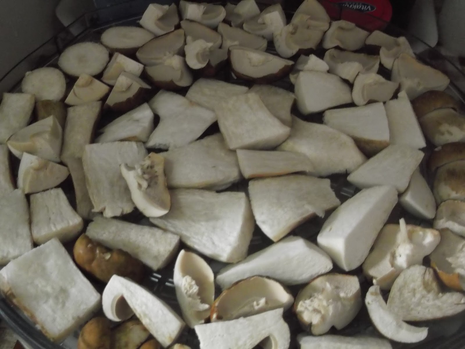 Hellena ...din bucataria mea...: Manatarci (hribi sau pitonci) uscate