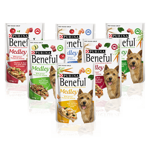 Product Reviews: Beneful Medley Dog Food Sachets