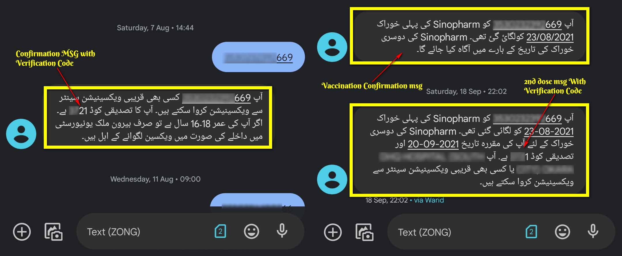 Pakistan: How to Get It and Verify Your NADRA Vaccine Certificate?