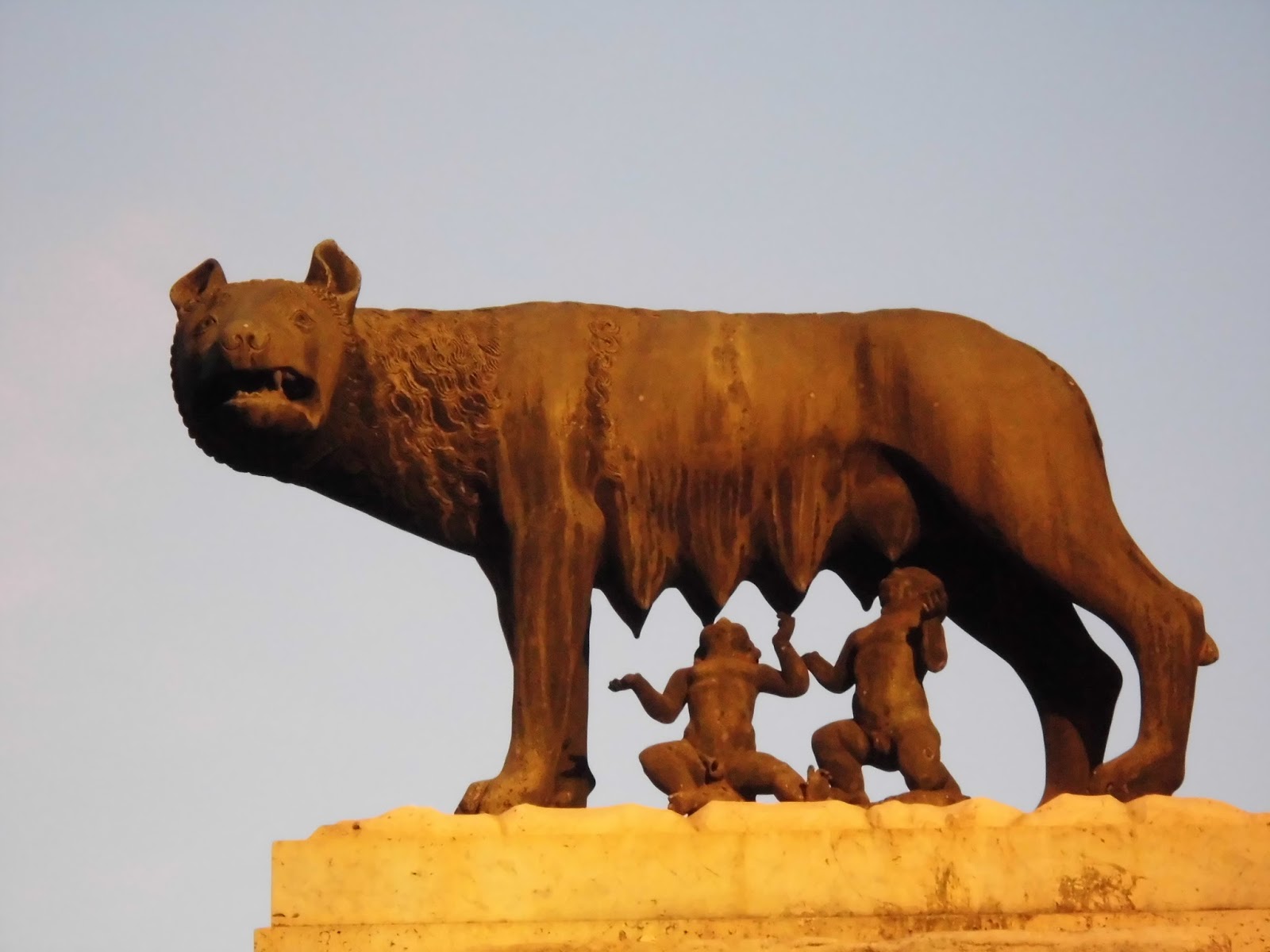 Susan's Lambda Wolf Blog: Lupa's story