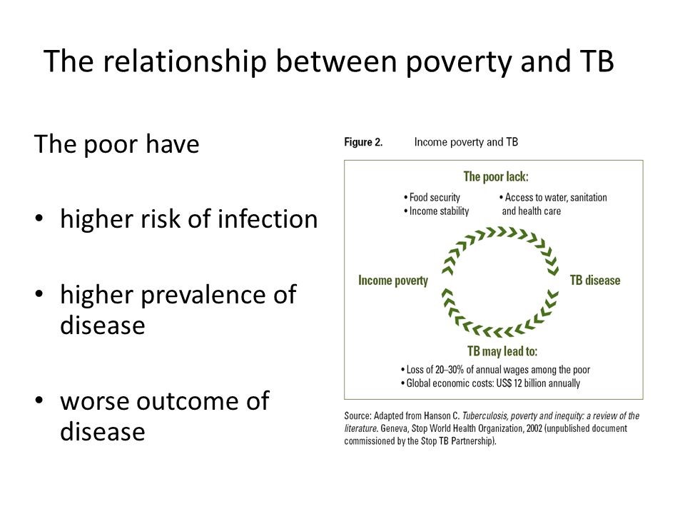 Tuberculosis impact on "health wheel"