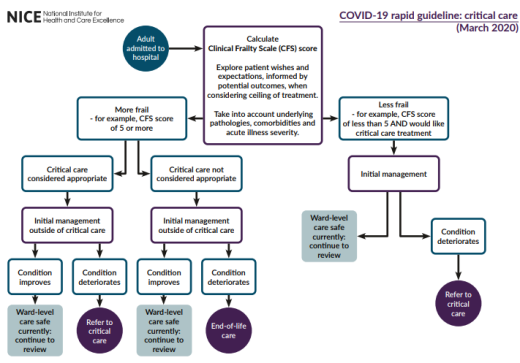 Avian Flu Diary: Cold Calculations: The Realities Of Ventilator Triage
