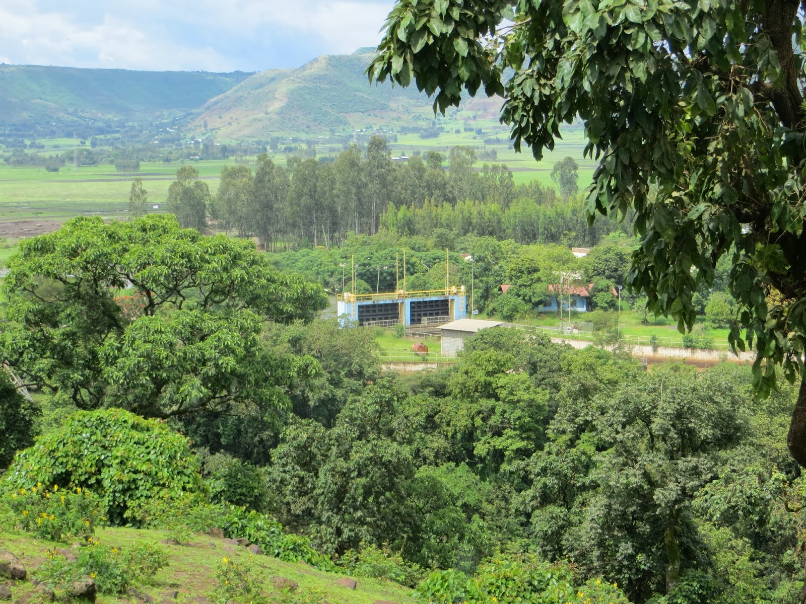 Ethiopië voor beginners: Dag 5 - Traject naar Gondar via Awra Amba ...