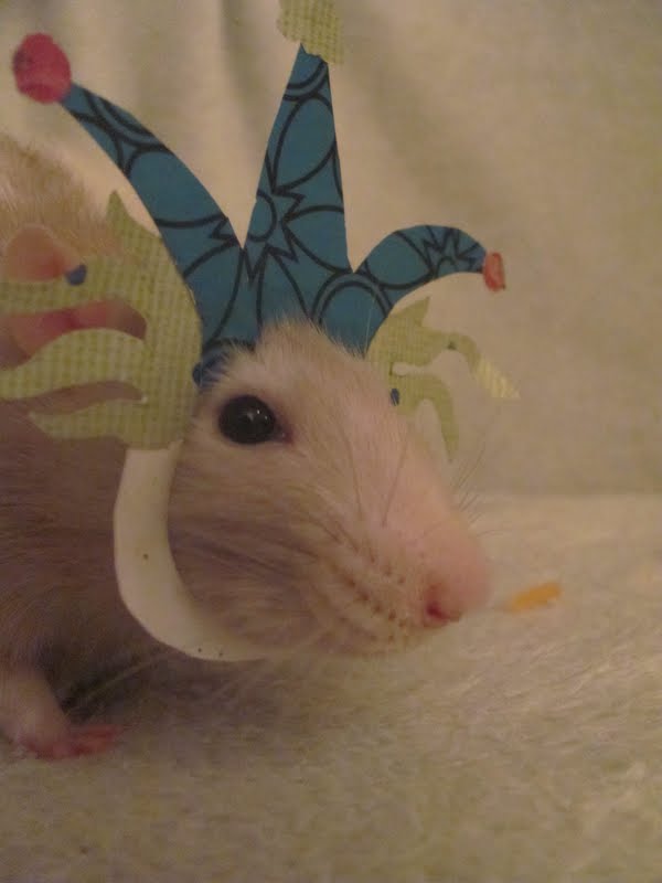 Ringo's Rat Tales: Crazy Clown