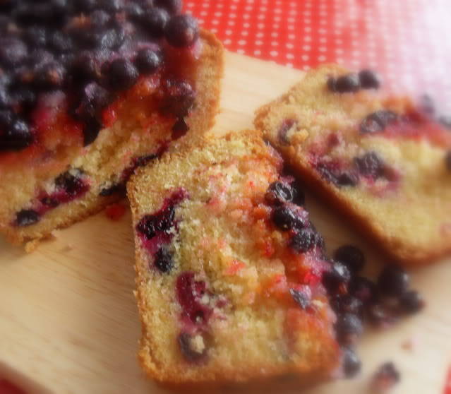 Black Currant Drizzle Cake | The English Kitchen