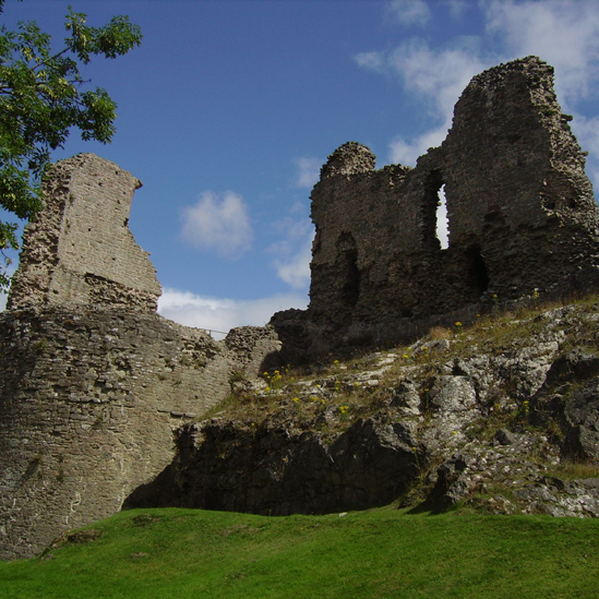 Montgomery/Trefaldwyn: The Castle
