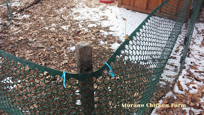 How using deer netting can deter hawks - Murano Chicken Farm