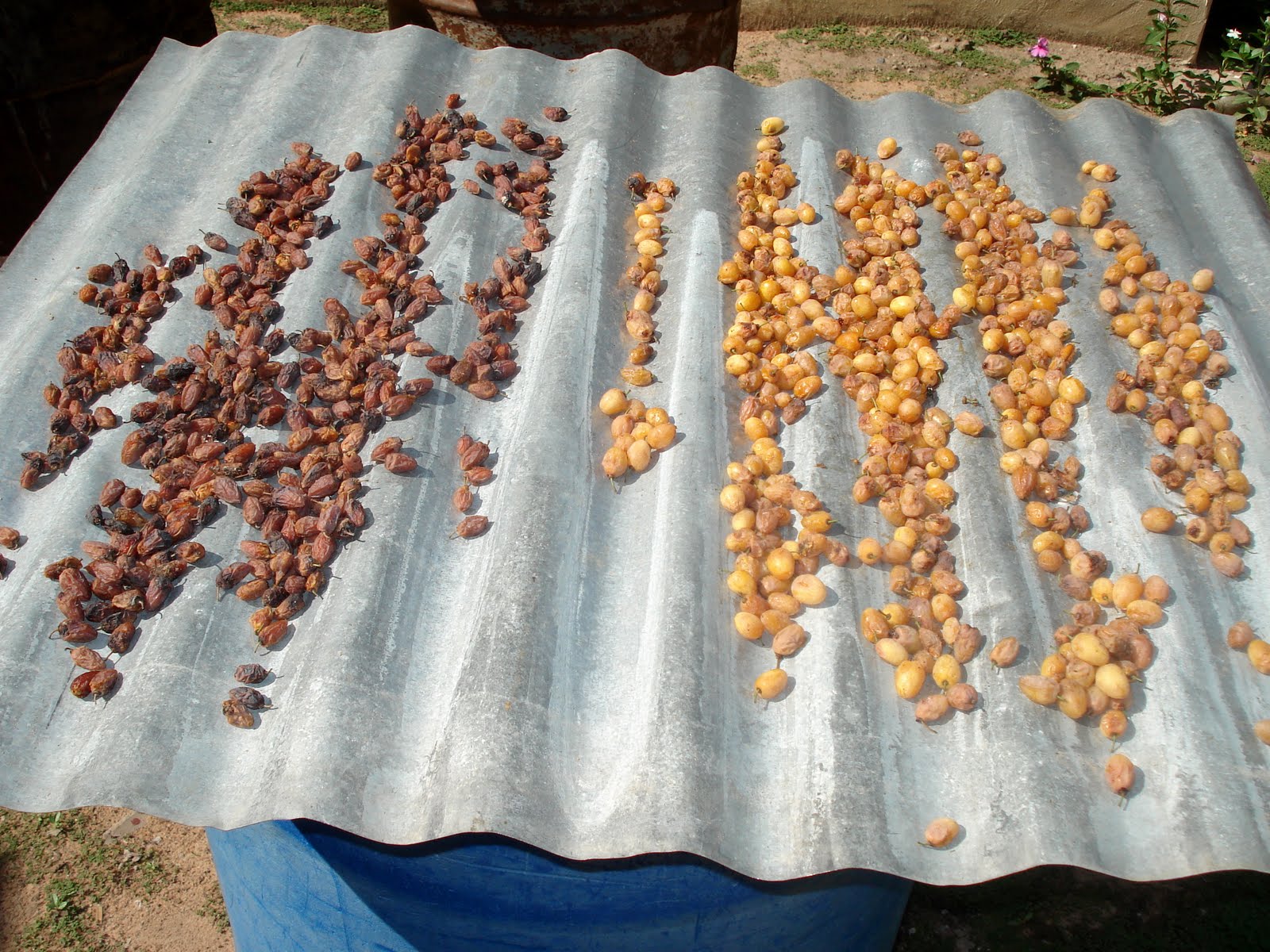 Kim's Namtastic Adventures: Chairs & Internet: Say WHAT?