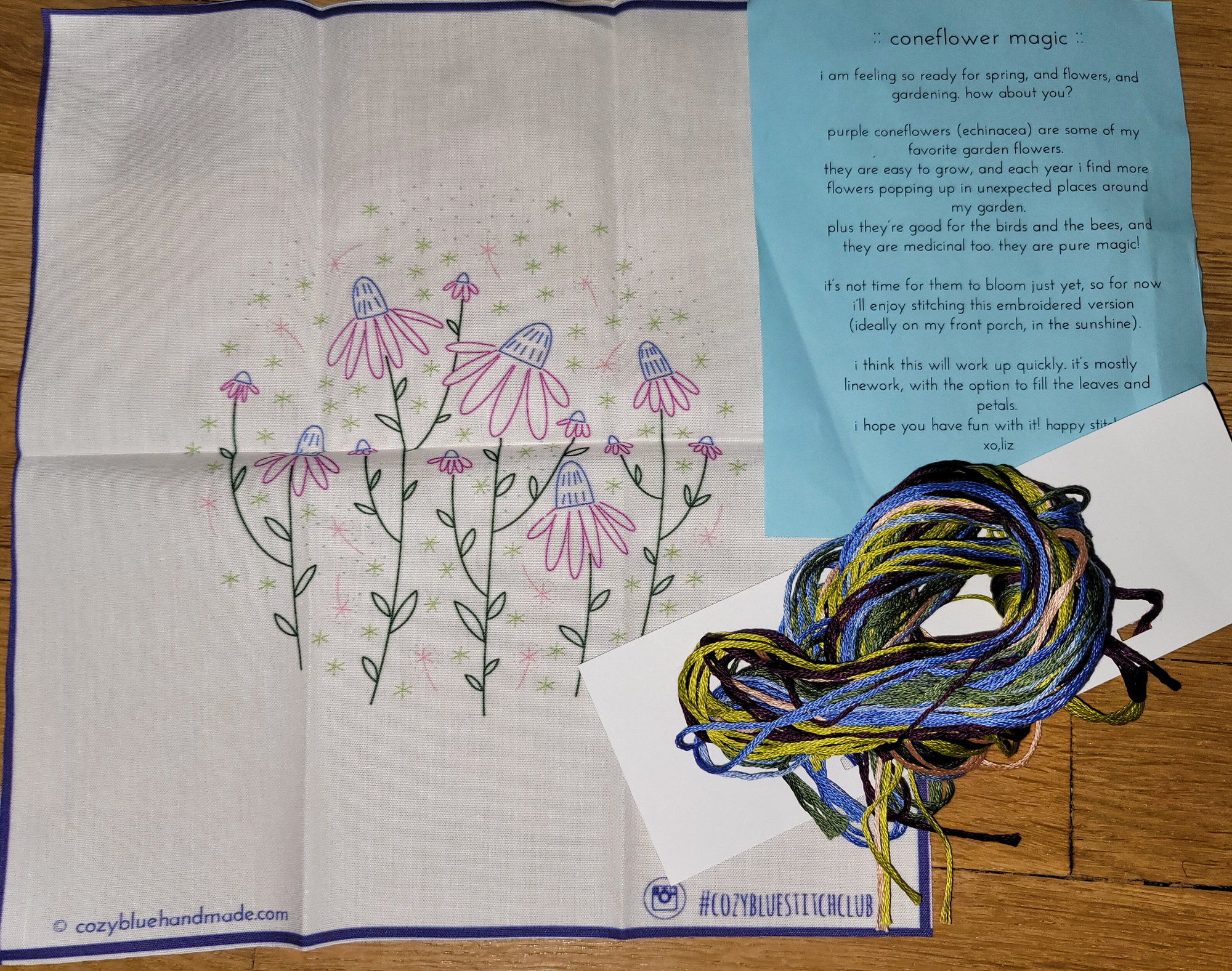 Committed Stitcher: Cozyblue March