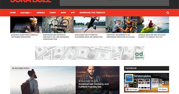How To Setup Sora Buzz Blogger Template - Sora Blogging Tips