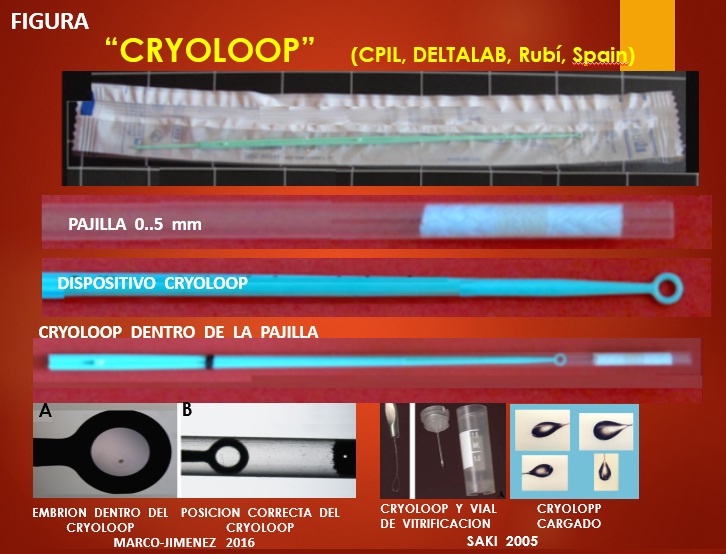 MANUAL DE TECNICAS REPRODUCCION ASISTIDA EN BOVINOS: CRIOPRESERVACION ...