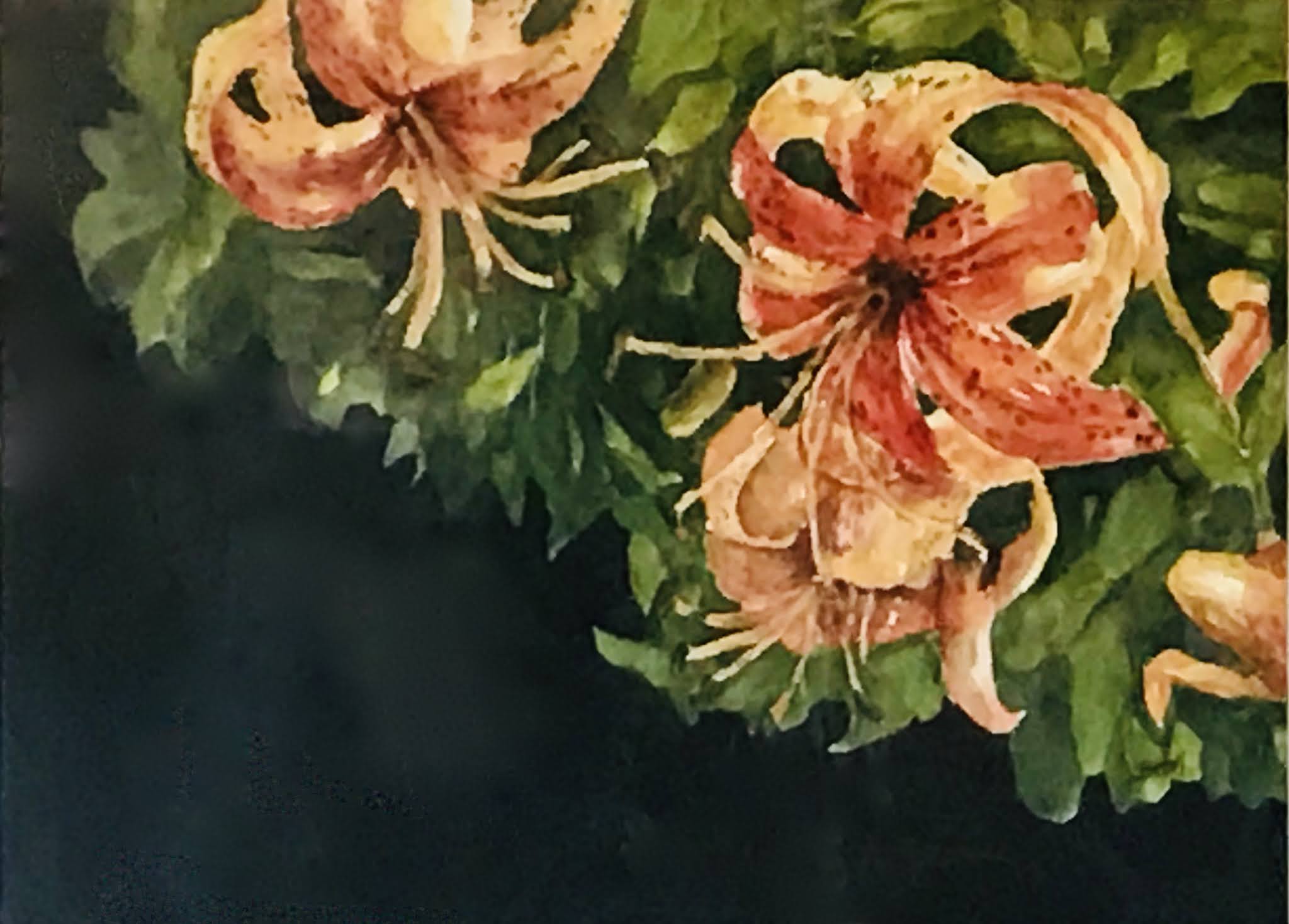 Ironstone Heritage Museum: Meet Artist Barbara Hall