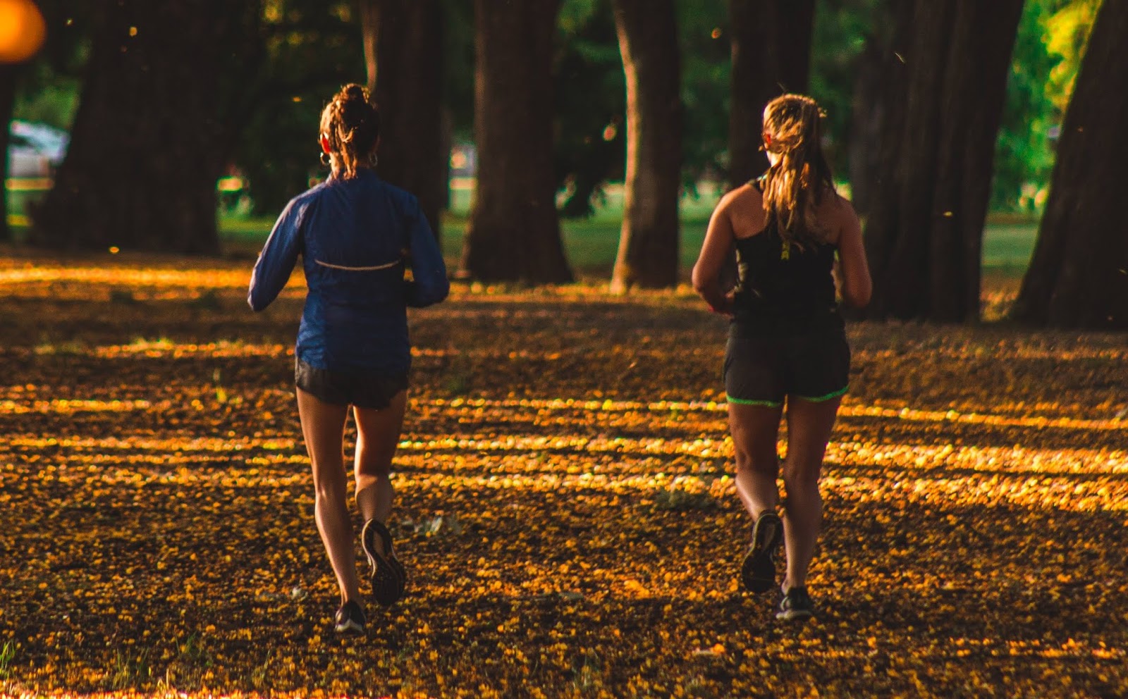 Moderate Exercises to Fitness! ~ THE BEST FITNESS FELLOW