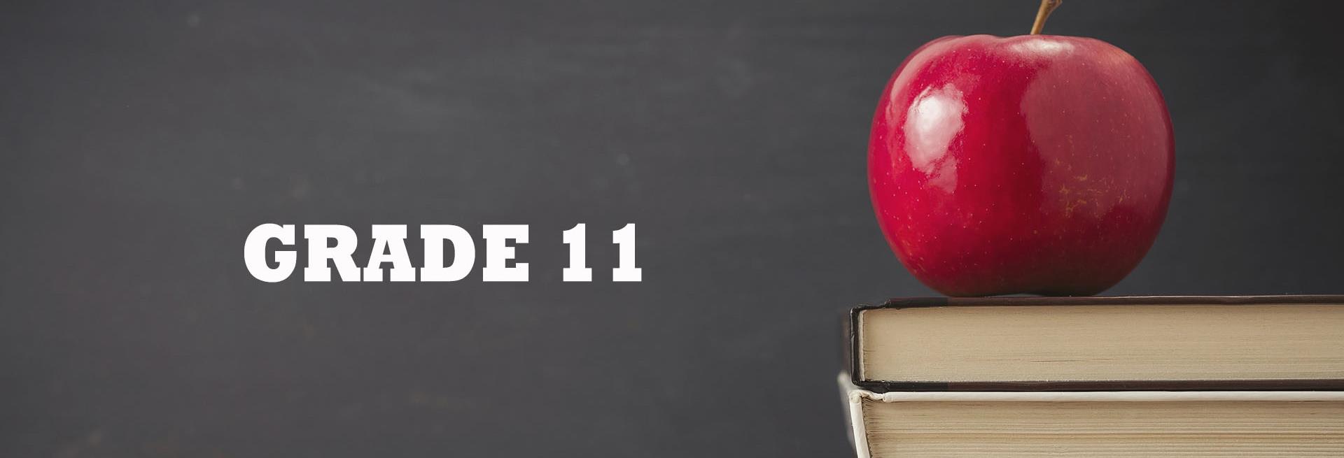 Grade 11 Lessons ICT Grade 11 Lessons ICT