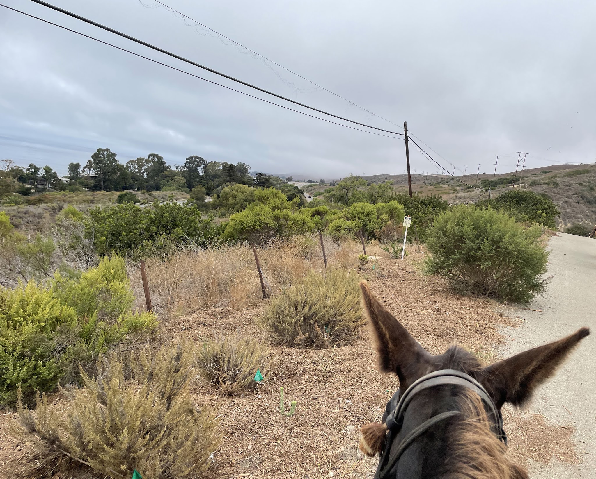 Baron Ranch on the Gaviota Coast - edhat