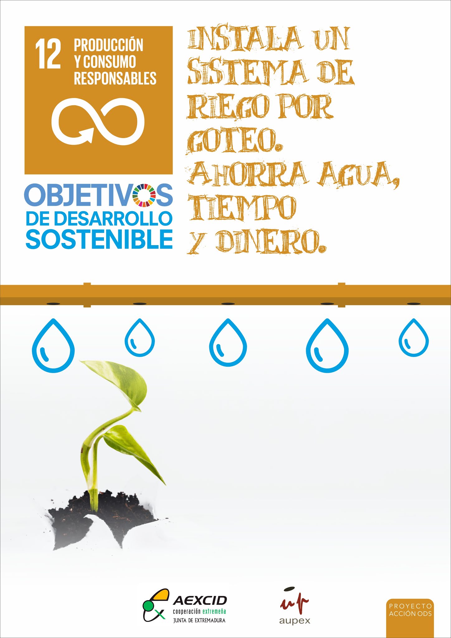 LOS 17 ODS DE LA AGENDA 2030: OBJETIVO 12: ASEGURAR QUE HAYA UNA ...