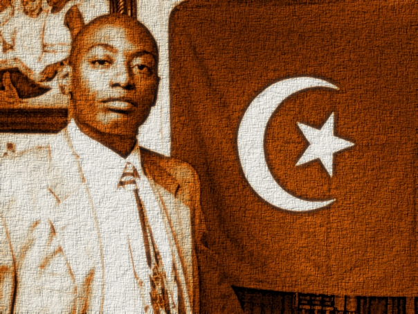 Bucephalus Media: 2012