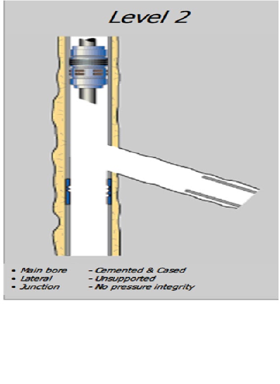 Drilling and Completion of Multilateral Wells | petroleum pedia