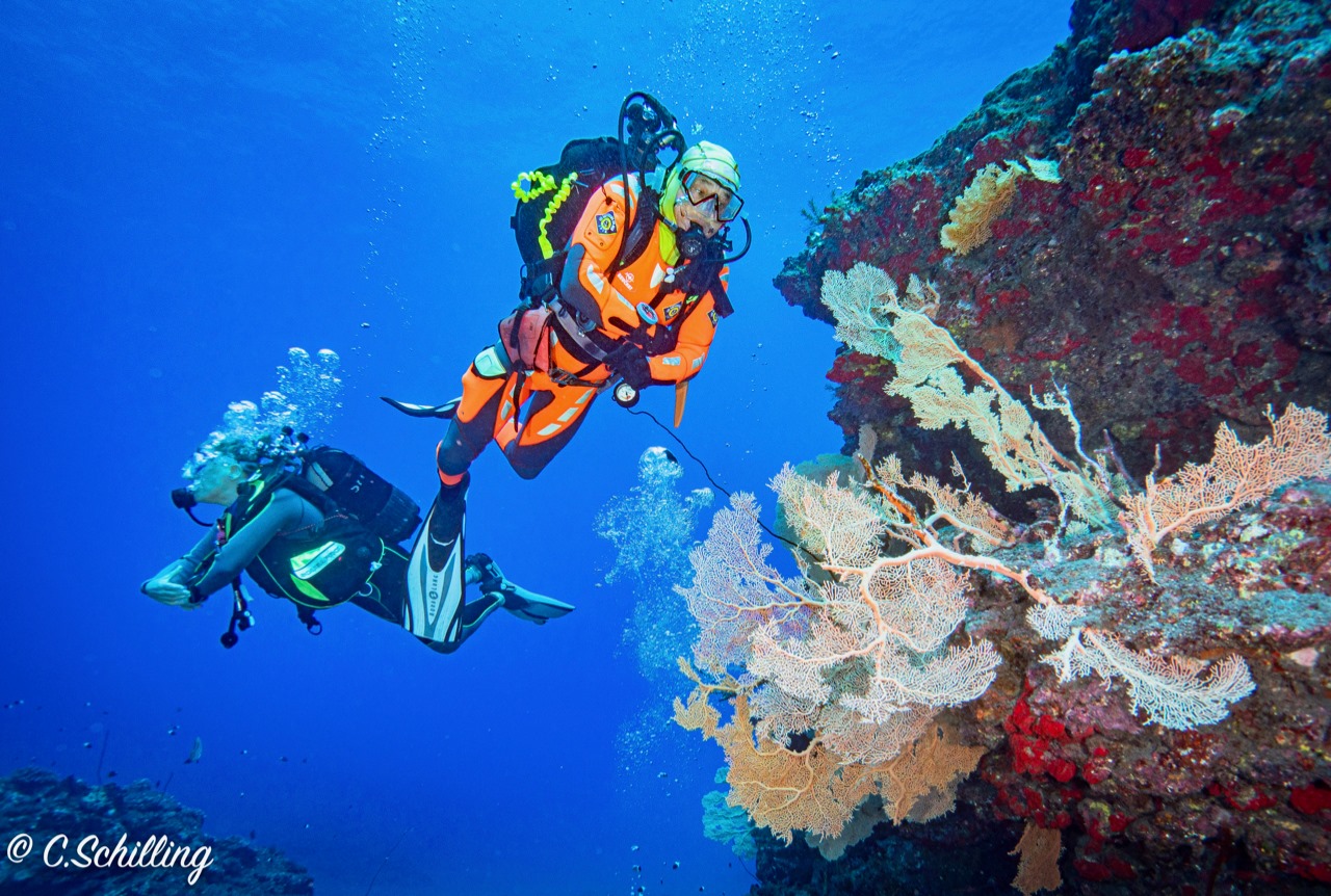 - Expédition La Pérouse -: La plongée en scaphandre autonome