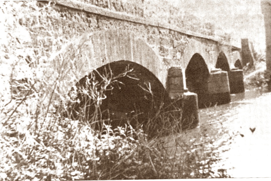 IS ARRIORESUS: Storia di Riola: "SU CUNZAU DE I FRUCASA" di Giuseppe Mocci