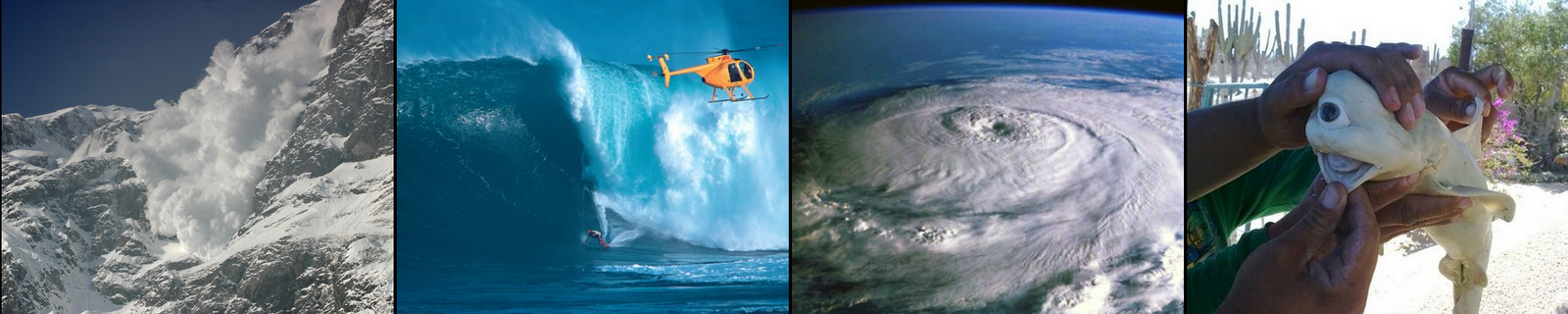 Synthetic Daisies: Representing rare events