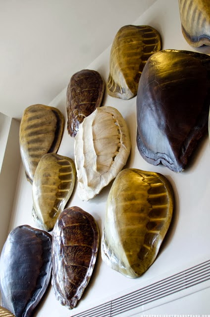 Vintage Mulberry: Tortoise Shells!