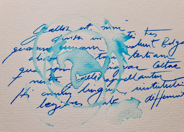 El Pajarete Orquidiado: Sailor Manyo Ink Sumire: Una flor brillante y ...