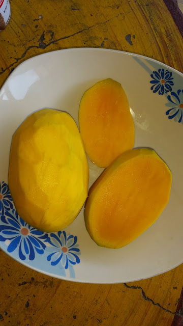 Warisan Petani: Musim Buah Kuini