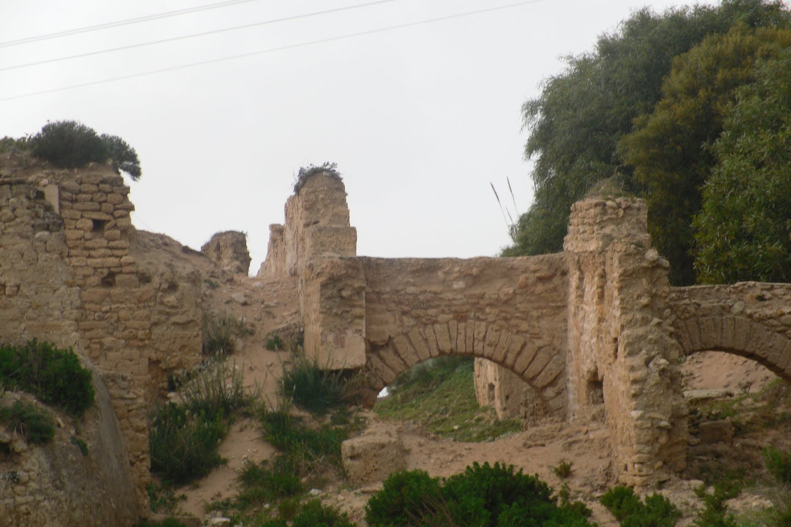 LE CHERCHEUR TAOUFIK BEN BRAHAM: Le Site archéologique Hermaea El ...