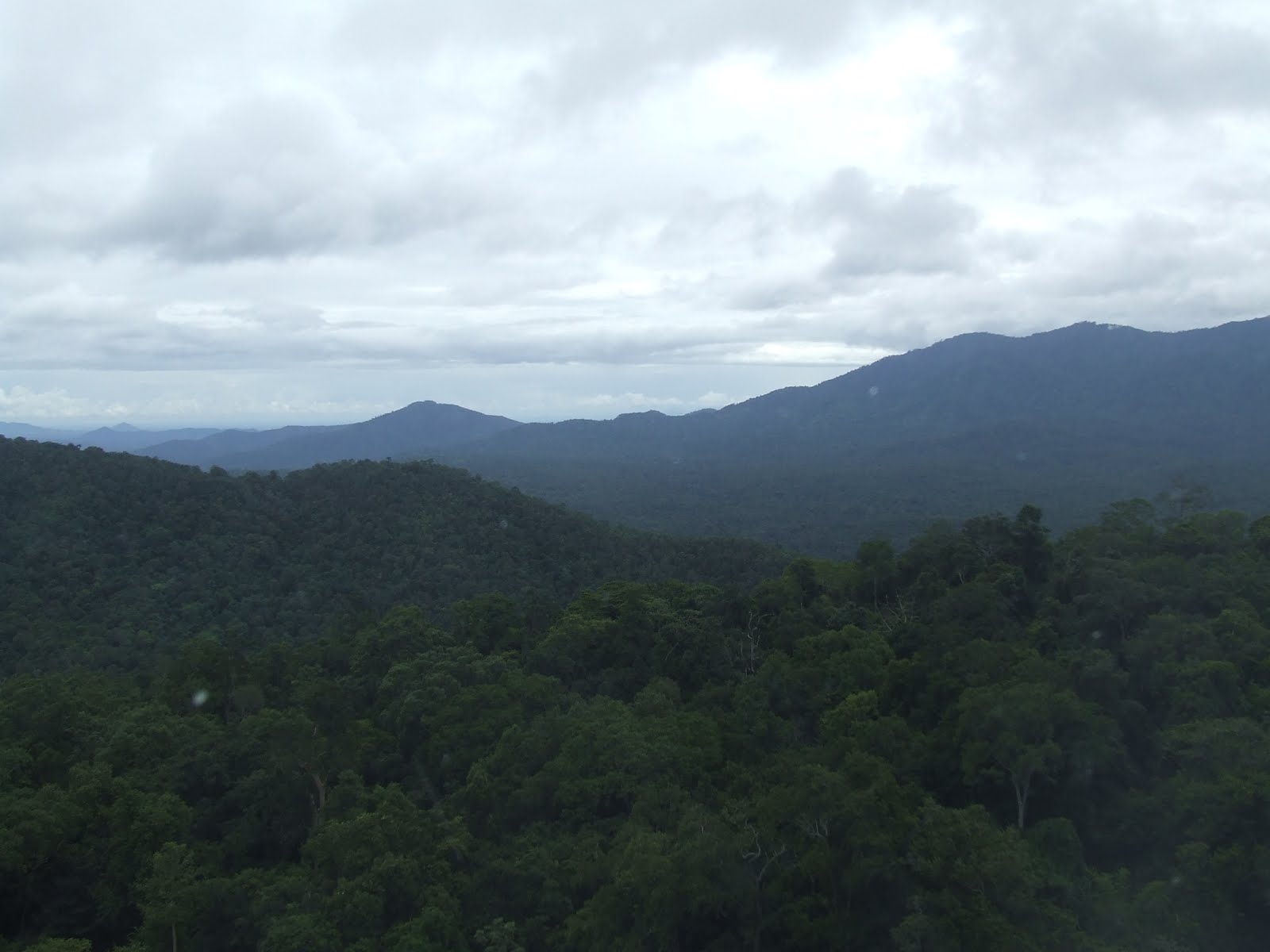 Mount Doi Inthanon (2,565 m), the highest peak in Thailand ~ Great Mountain