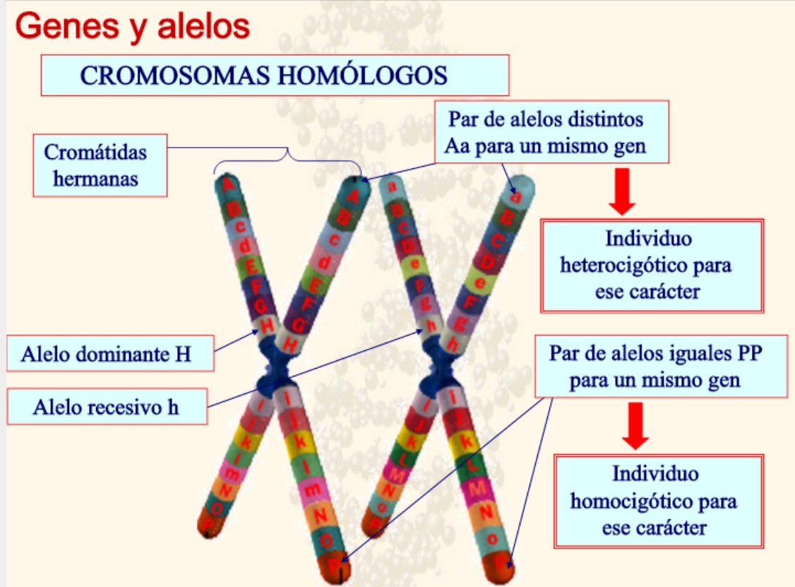 CIENCIAS RAQUEL: 2020