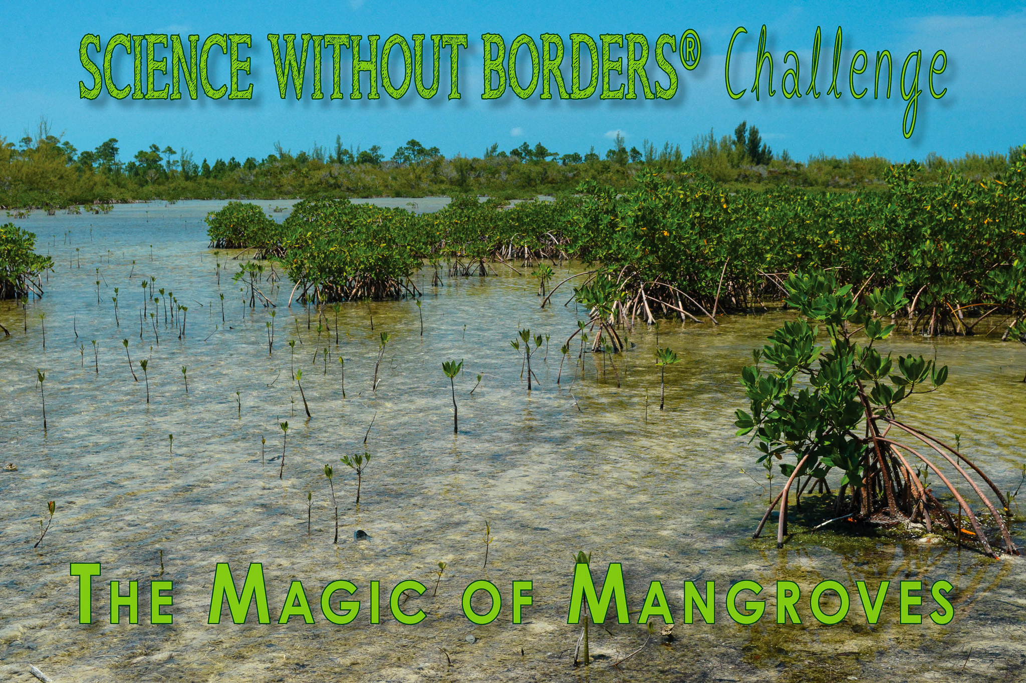 Science Without Borders Challenge 2021 for Students worldwide (Win Cash ...