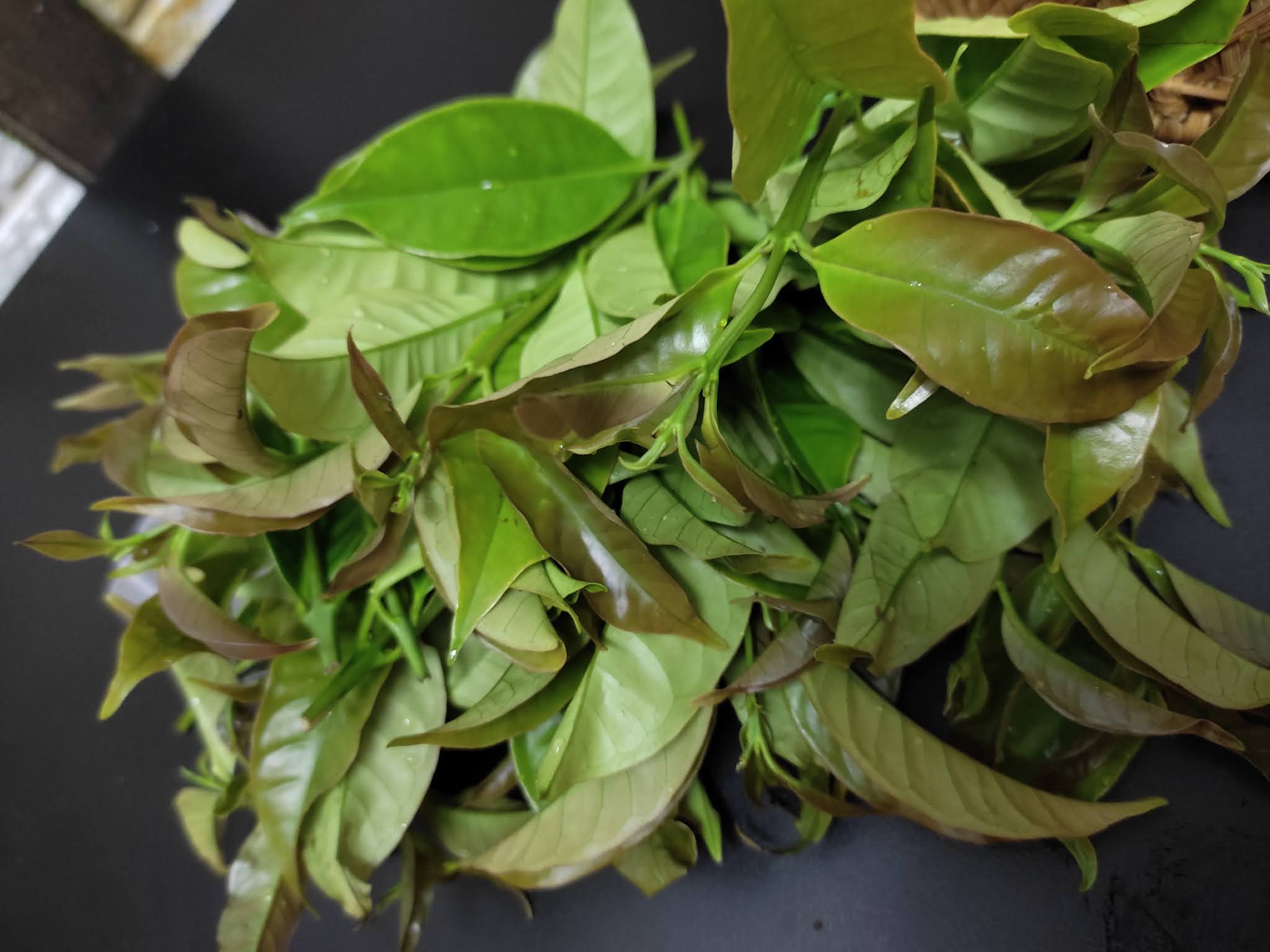 namakucella: NASI GORENG SARDIN & ULAM PUCUK SAMAK